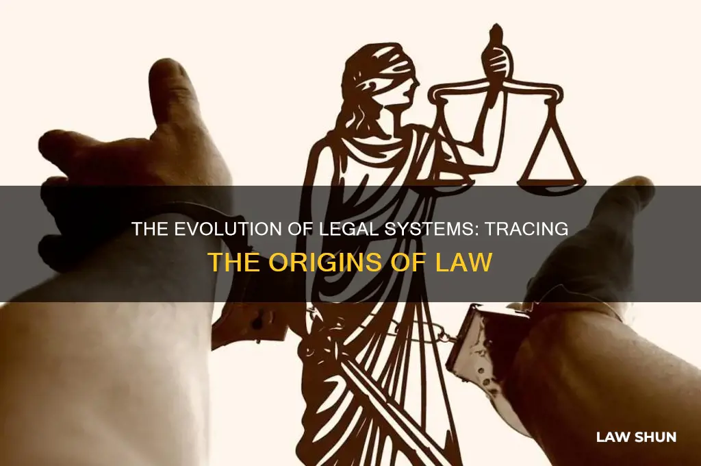 The Evolution Of Legal Systems: Tracing The Origins Of Law | LawShun
