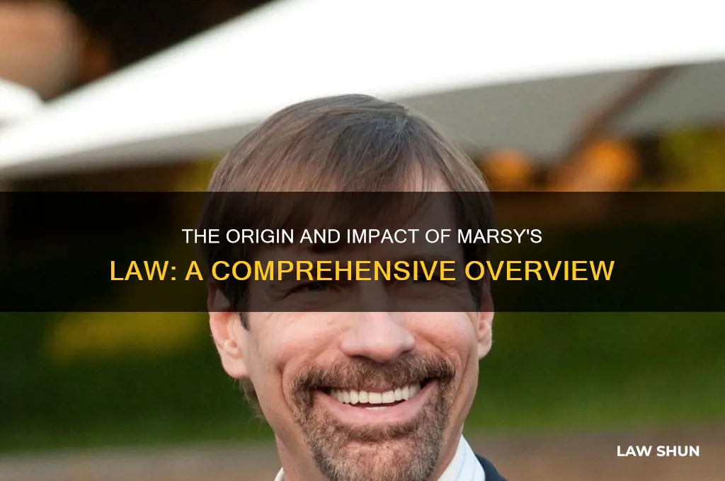 The Origin And Impact Of Marsy's Law: A Comprehensive Overview | LawShun