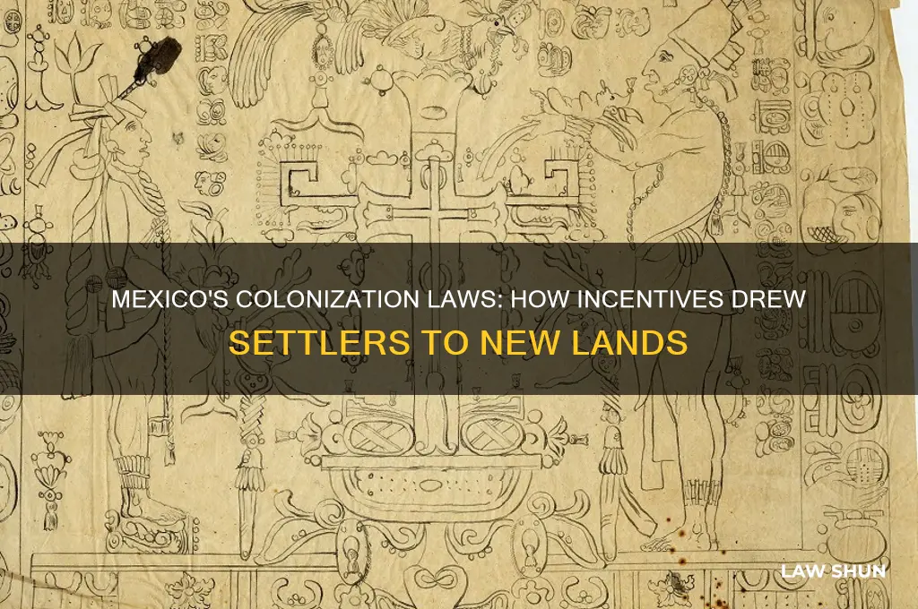 Mexico's Colonization Laws: How Incentives Drew Settlers To New Lands ...