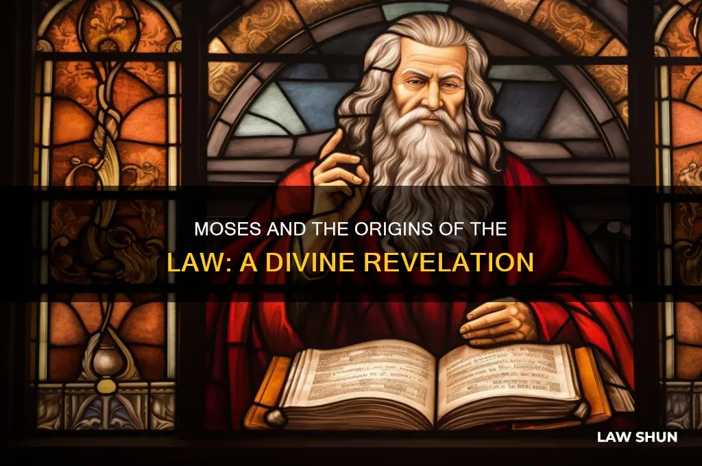 Moses And The Origins Of The Law: A Divine Revelation | LawShun