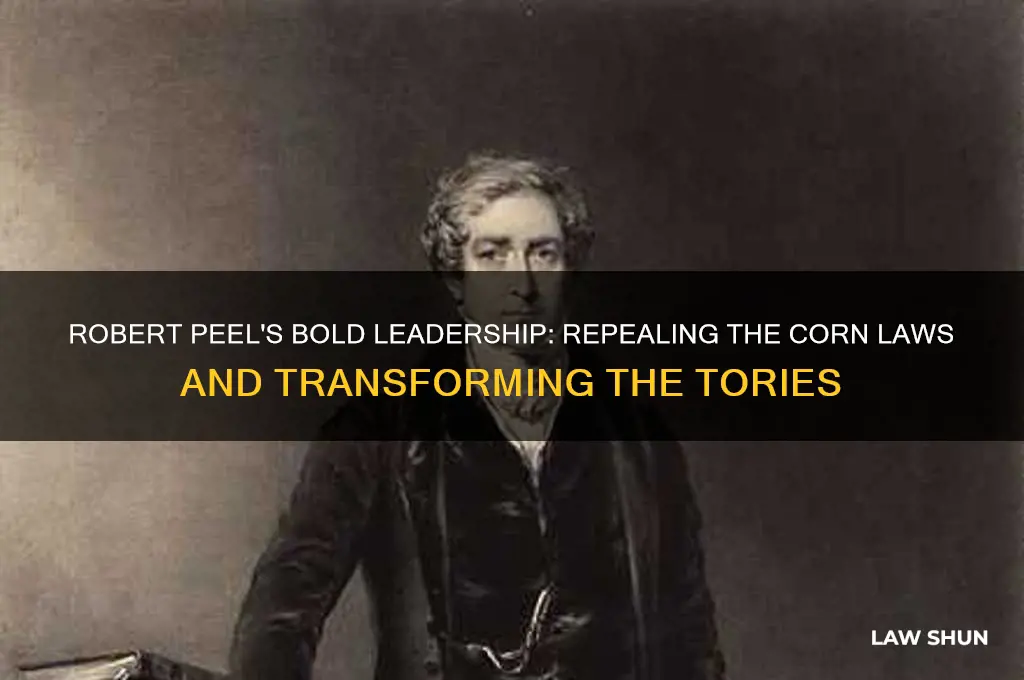Robert Peel's Bold Leadership: Repealing The Corn Laws And Transforming ...
