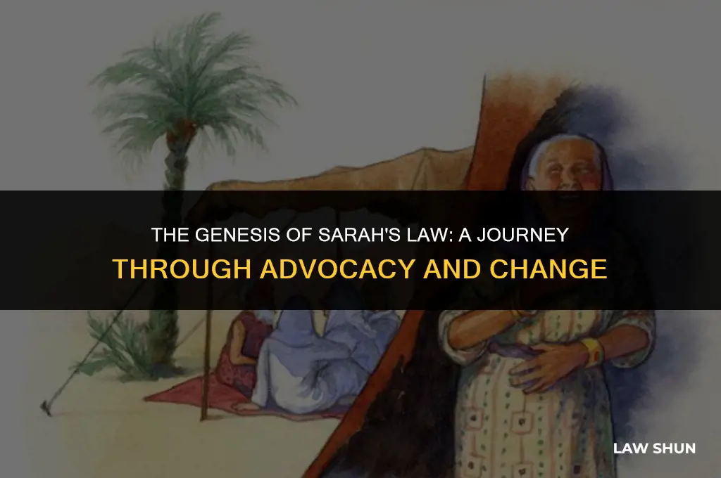 The Genesis Of Sarah's Law: A Journey Through Advocacy And Change | LawShun