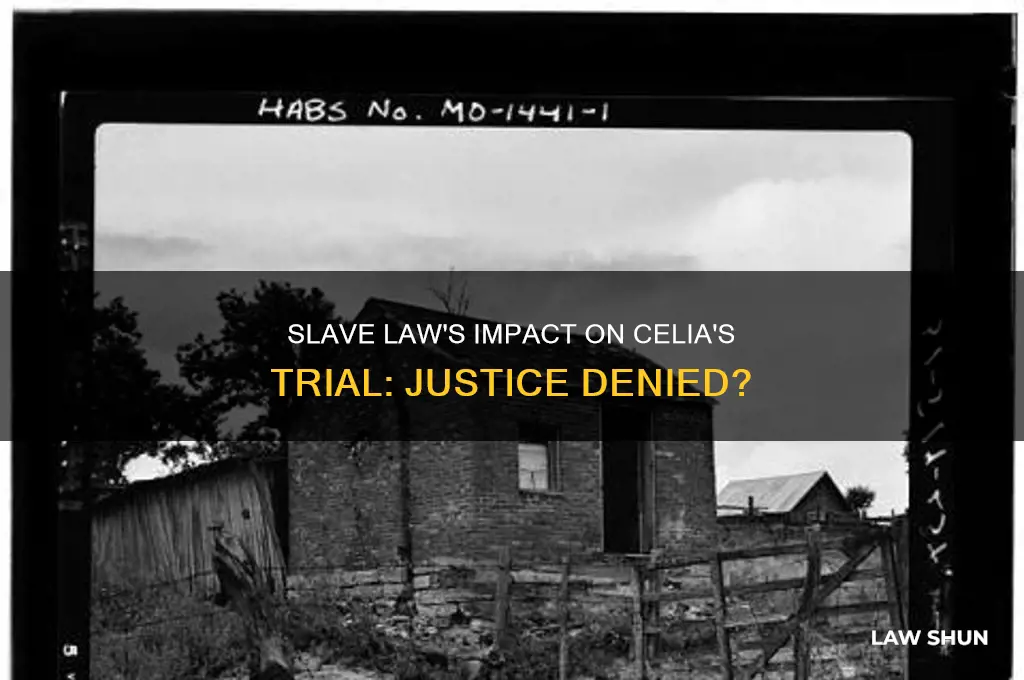 Slave Law's Impact On Celia's Trial: Justice Denied? | LawShun