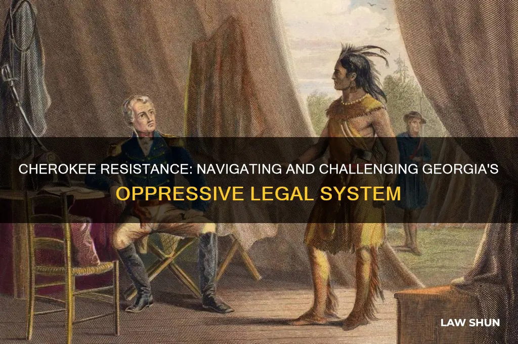 Cherokee Resistance: Navigating And Challenging Georgia's Oppressive ...