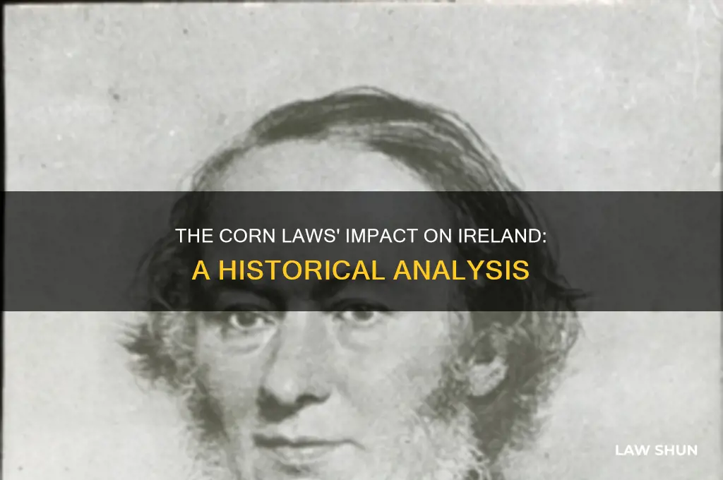 The Corn Laws' Impact On Ireland: A Historical Analysis | LawShun