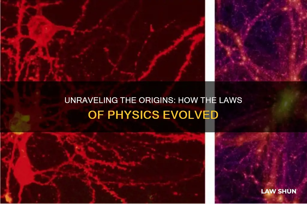 Unraveling The Origins: How The Laws Of Physics Evolved | LawShun