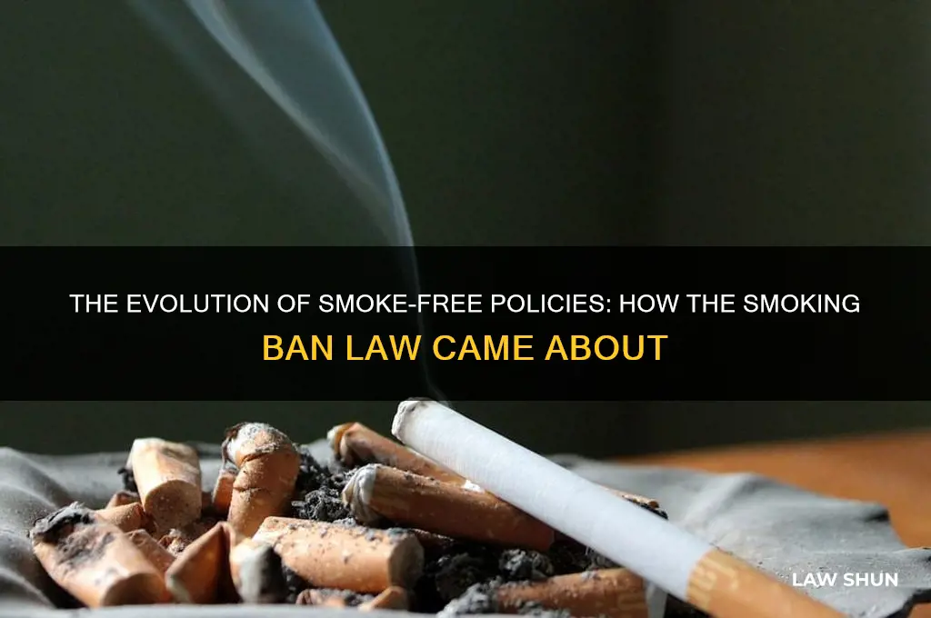 The Evolution Of Smoke-Free Policies: How The Smoking Ban Law Came ...