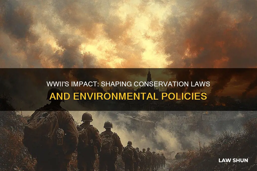 Wwii's Impact: Shaping Conservation Laws And Environmental Policies ...