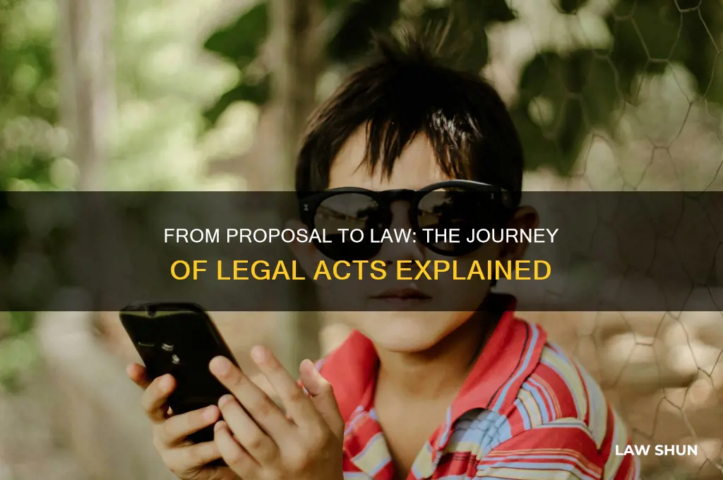 From Proposal To Law: The Journey Of Legal Acts Explained | LawShun