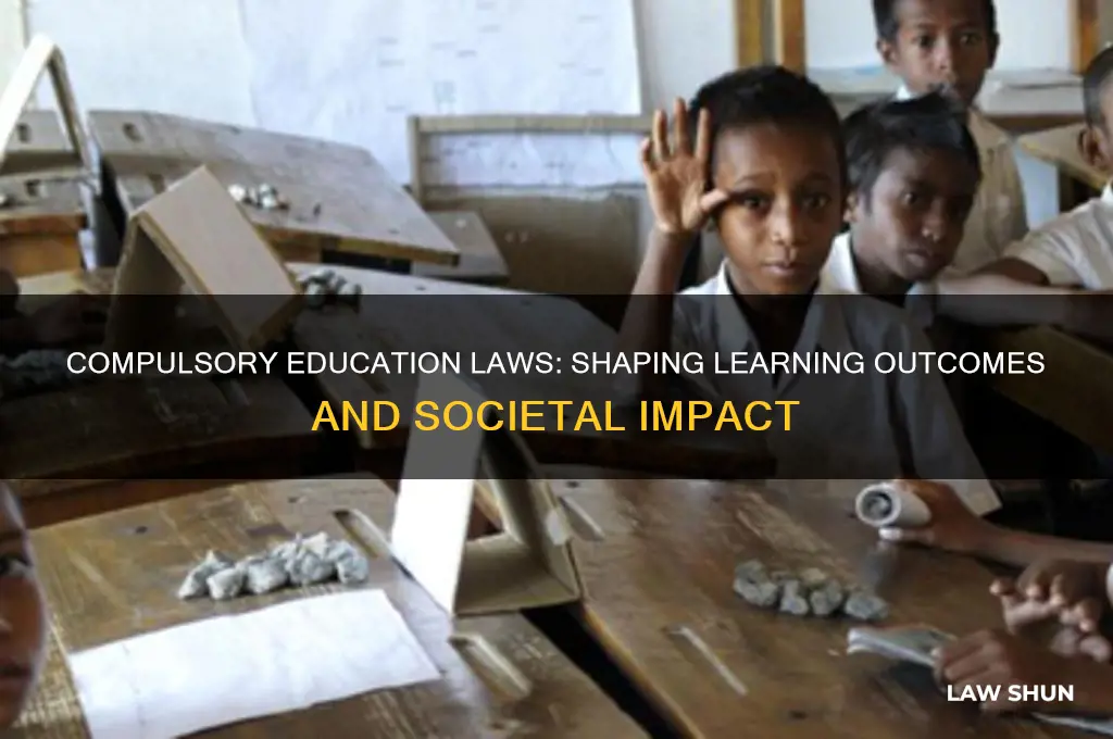 Compulsory Education Laws: Shaping Learning Outcomes And Societal ...