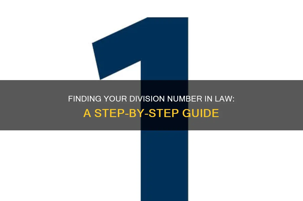 Finding Your Division Number In Law: A Step-By-Step Guide | LawShun