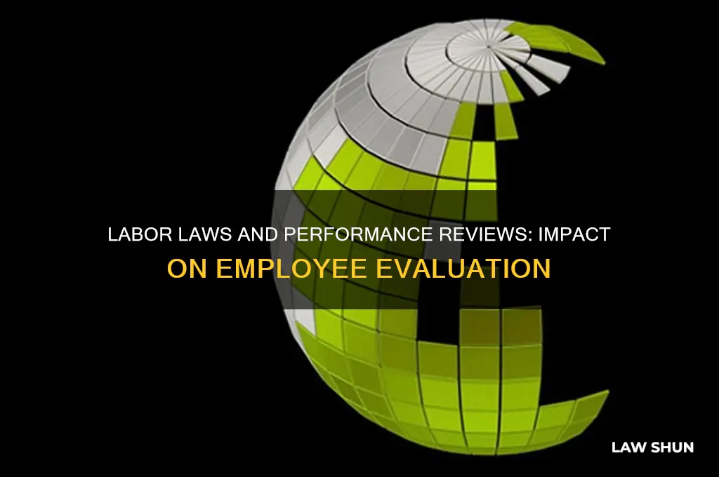 Labor Laws And Performance Reviews: Impact On Employee Evaluation | LawShun