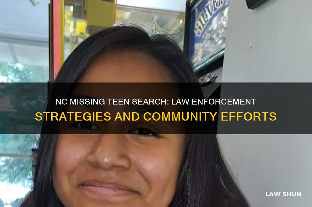 Nc Missing Teen Search: Law Enforcement Strategies And Community ...