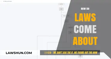 Understanding The Journey: How Laws Are Enacted And Implemented | LawShun