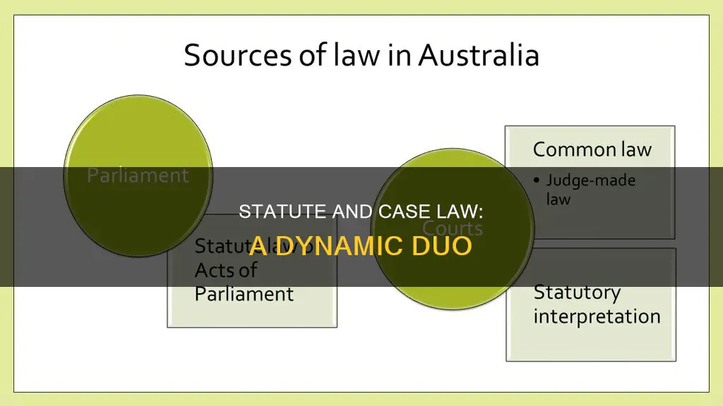 Statute And Case Law: A Dynamic Duo | LawShun