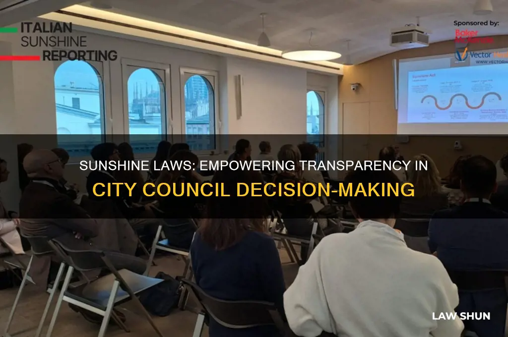 Sunshine Laws: Empowering Transparency In City Council Decision-Making ...