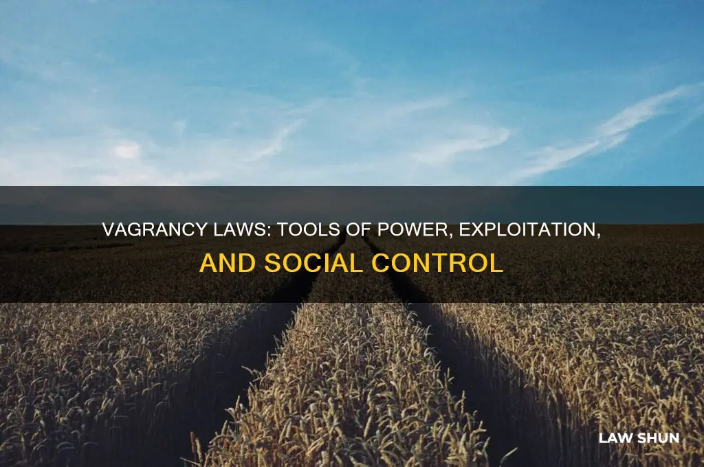 Vagrancy Laws: Tools Of Power, Exploitation, And Social Control | LawShun