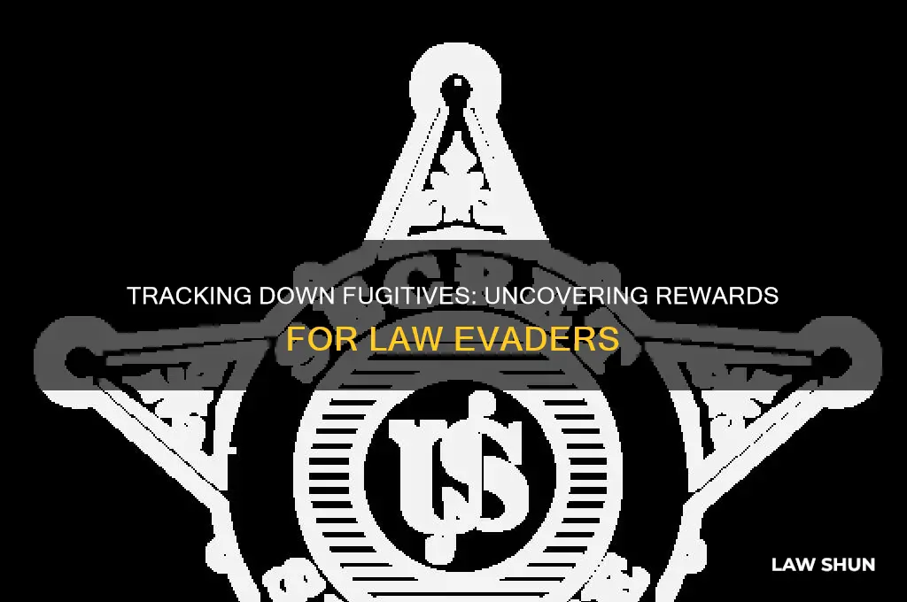 Tracking Down Fugitives: Uncovering Rewards For Law Evaders | LawShun