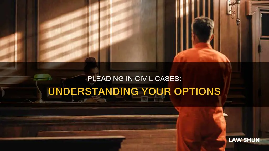 Pleading In Civil Cases: Understanding Your Options | LawShun
