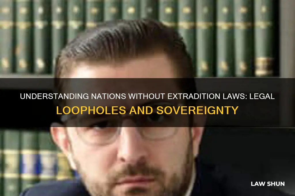 Understanding Nations Without Extradition Laws: Legal Loopholes And ...