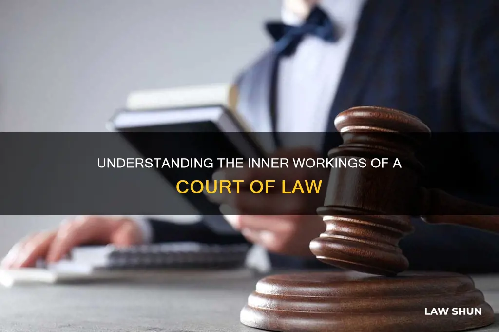 Understanding The Inner Workings Of A Court Of Law | LawShun