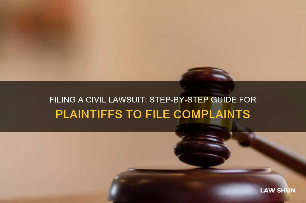 Filing A Civil Lawsuit: Step-By-Step Guide For Plaintiffs To File ...