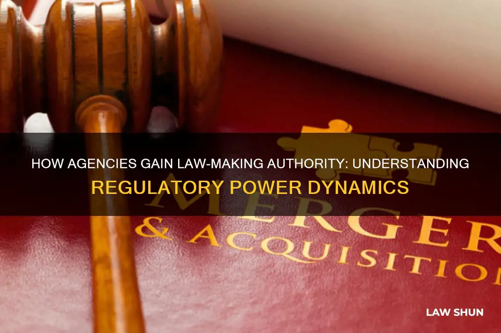 How Agencies Gain Law-Making Authority: Understanding Regulatory Power ...