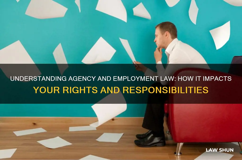 Understanding Agency And Employment Law: How It Impacts Your Rights And ...