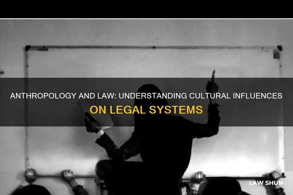 Anthropology And Law: Understanding Cultural Influences On Legal ...