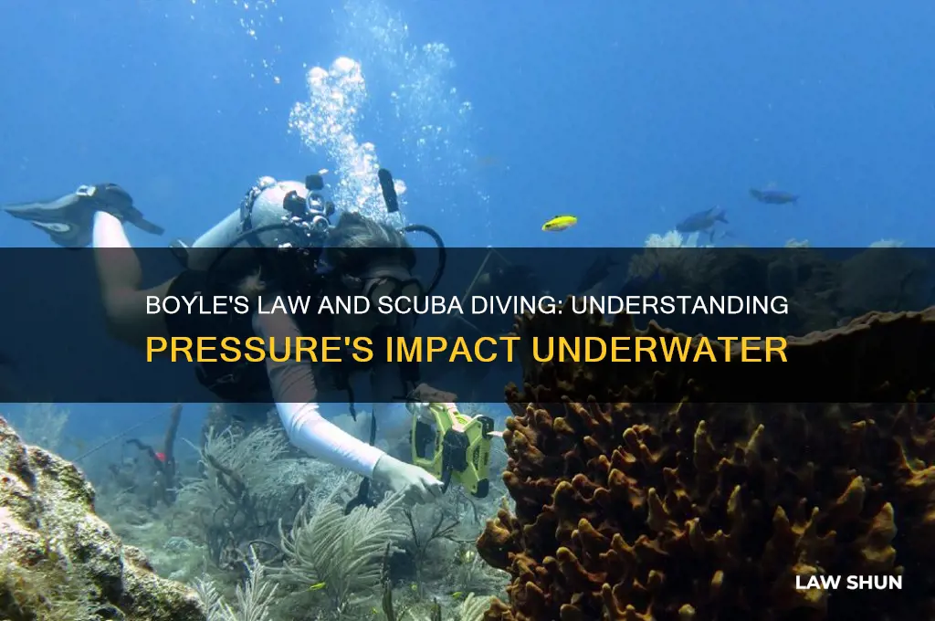 Boyle's Law And Scuba Diving: Understanding Pressure's Impact ...
