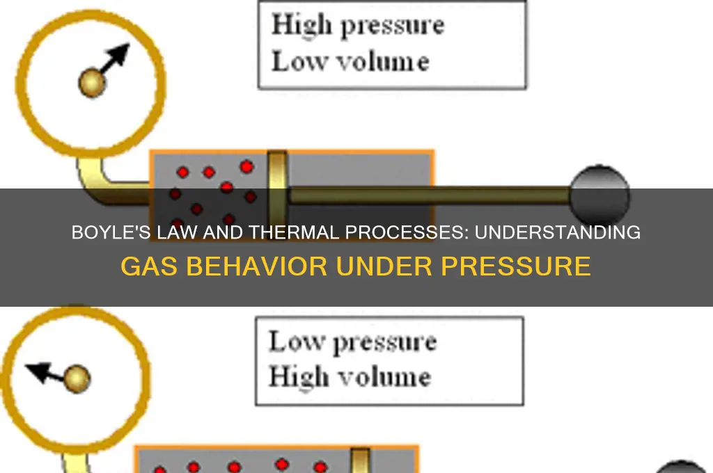 Boyle's Law And Thermal Processes: Understanding Gas Behavior Under ...