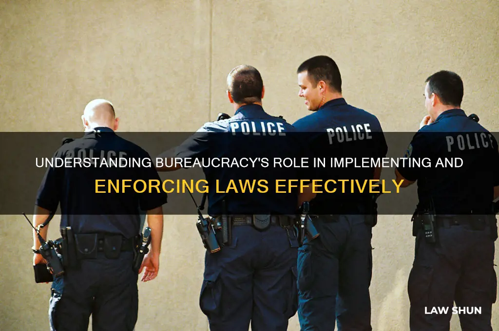 Understanding Bureaucracy's Role In Implementing And Enforcing Laws ...