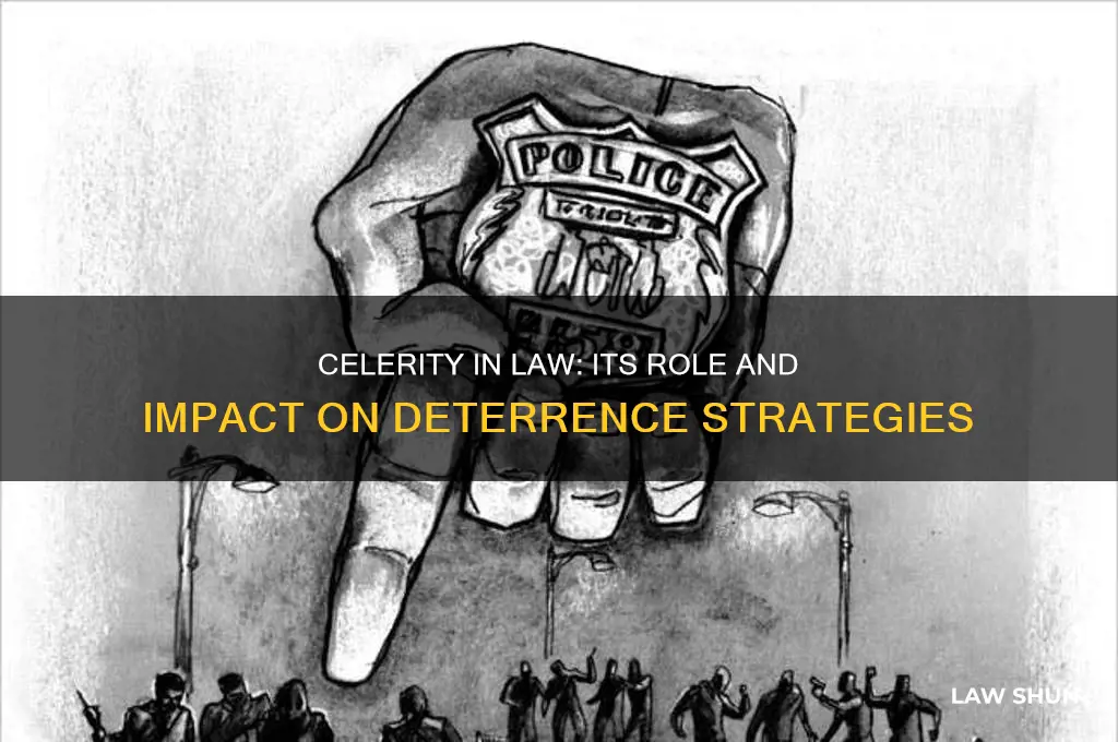 Celerity In Law: Its Role And Impact On Deterrence Strategies | LawShun