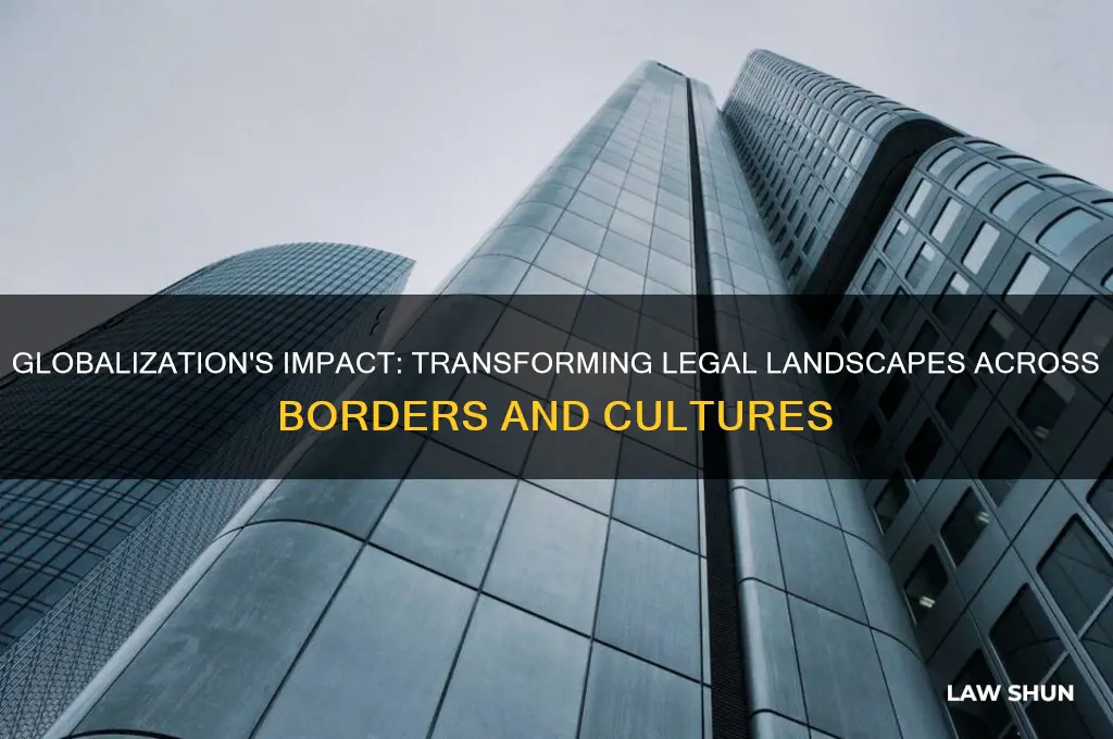 Globalization's Impact: Transforming Legal Landscapes Across Borders ...