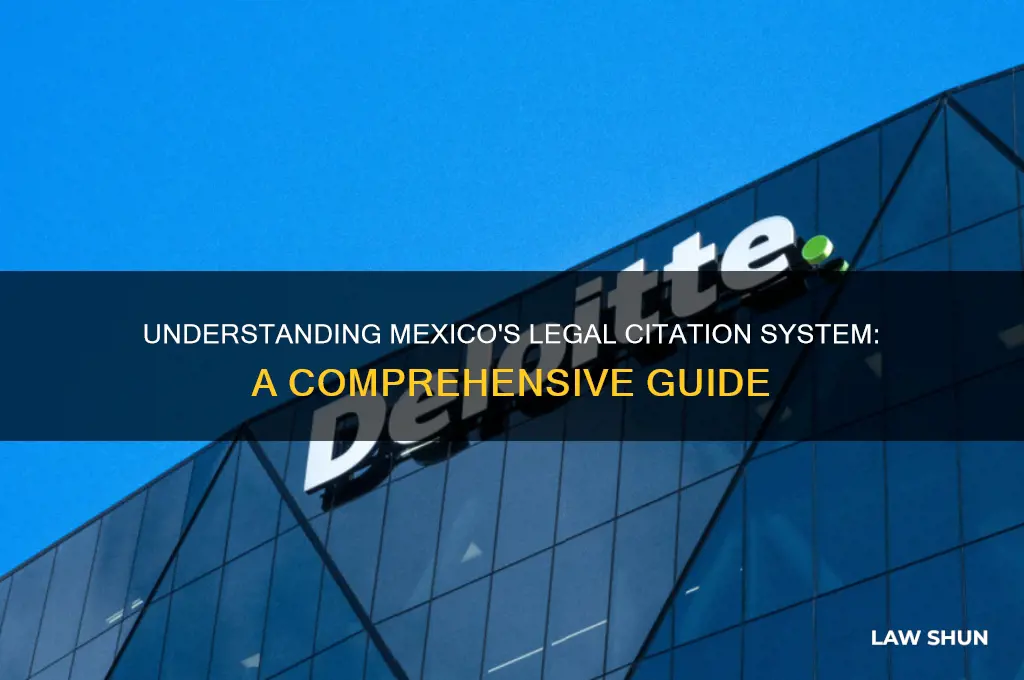 Understanding Mexico's Legal Citation System: A Comprehensive Guide ...