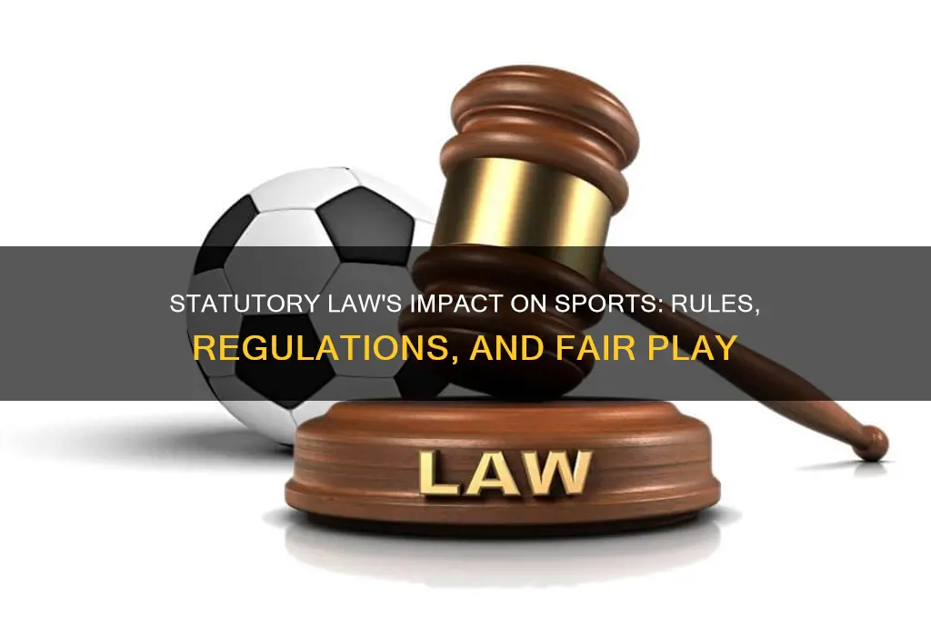 Statutory Law's Impact On Sports: Rules, Regulations, And Fair Play ...