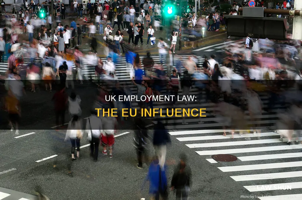Uk Employment Law: The Eu Influence | LawShun