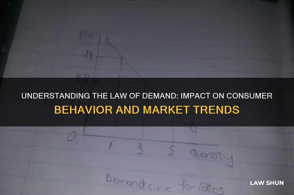 Understanding The Law Of Demand: Impact On Consumer Behavior And Market ...