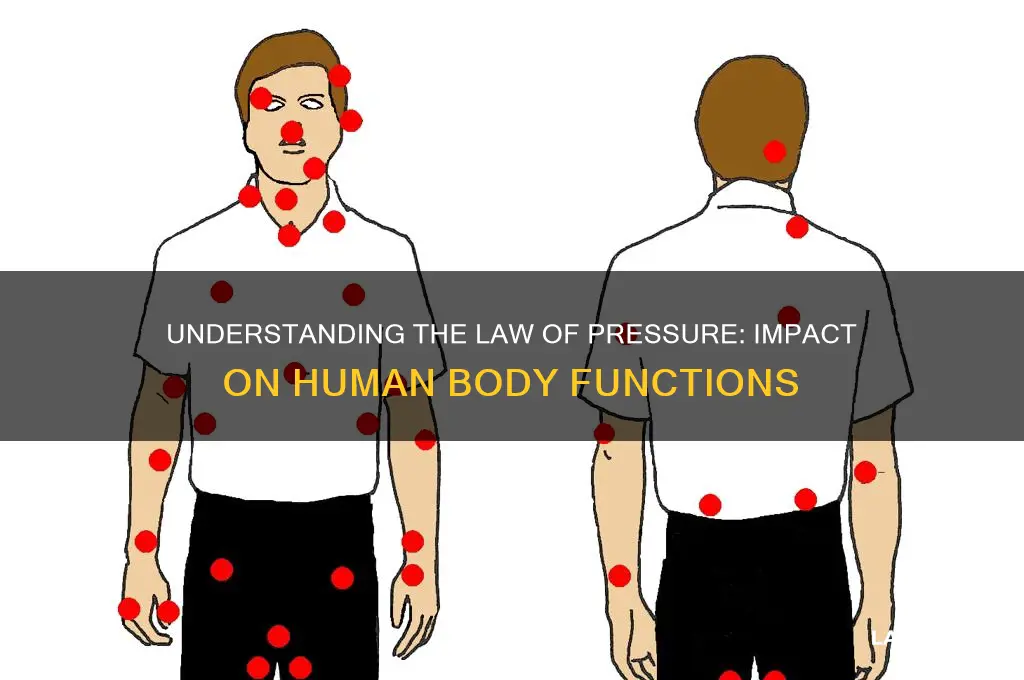 Understanding The Law Of Pressure: Impact On Human Body Functions | LawShun
