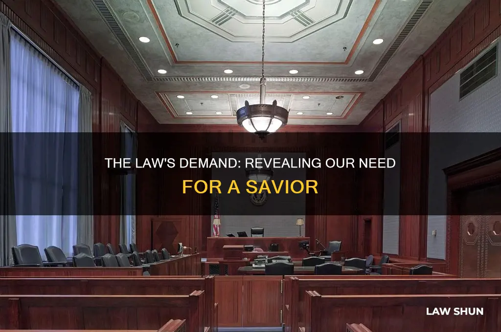 The Law's Demand: Revealing Our Need For A Savior | LawShun