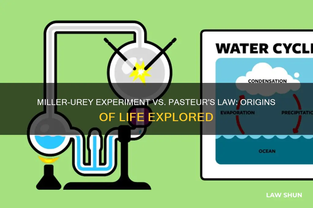 Miller-Urey Experiment Vs. Pasteur's Law: Origins Of Life Explored ...