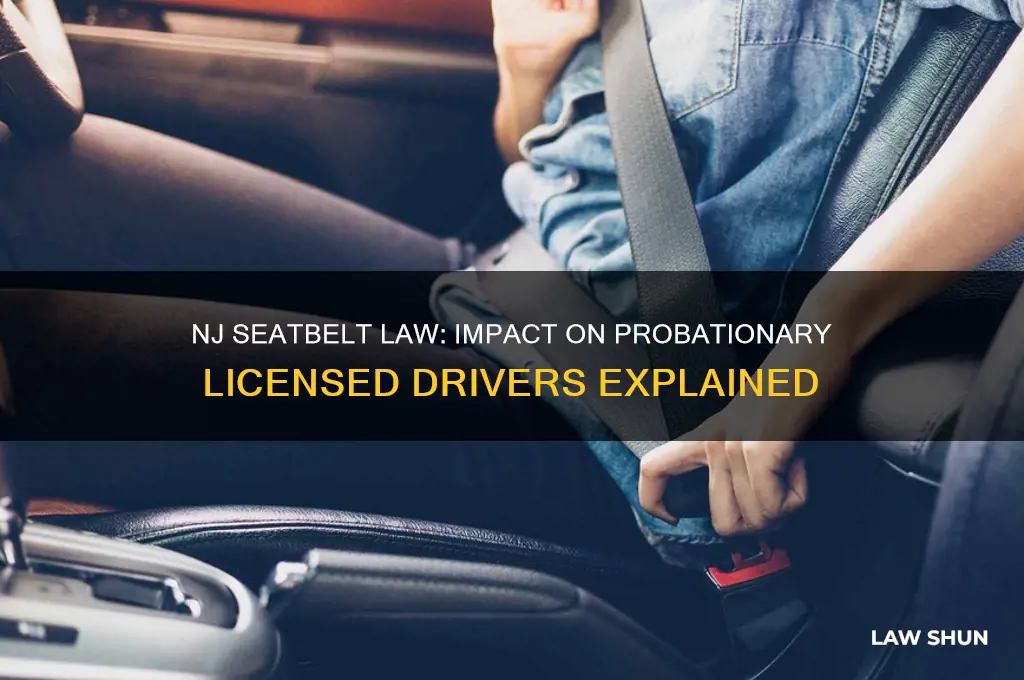 Nj Seatbelt Law: Impact On Probationary Licensed Drivers Explained ...
