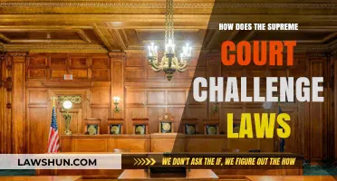 Understanding The Journey: How Laws Reach The Supreme Court | LawShun