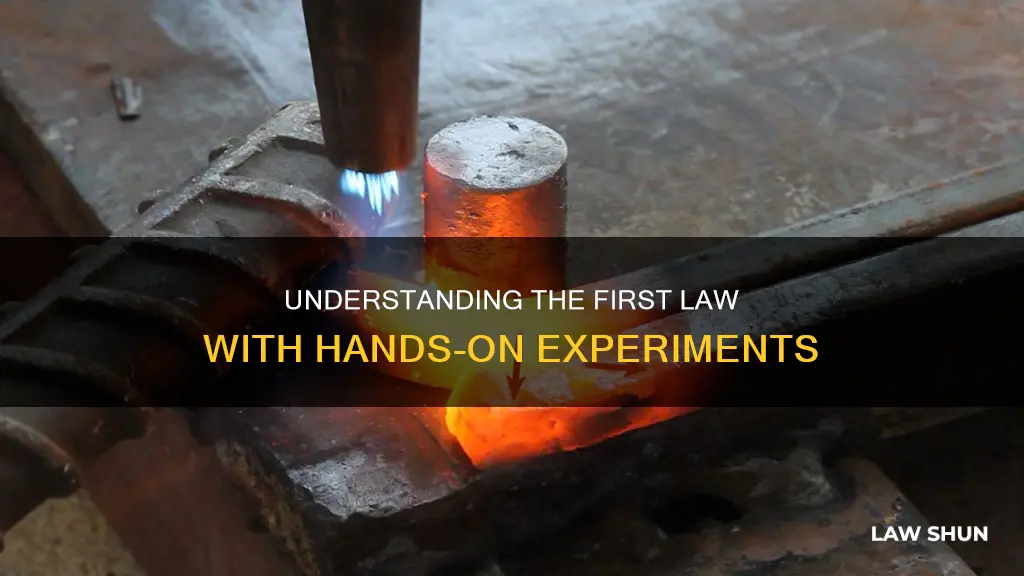 Understanding The First Law With Hands-On Experiments | LawShun