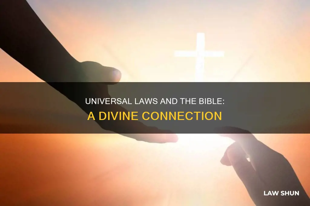 Universal Laws And The Bible: A Divine Connection | LawShun