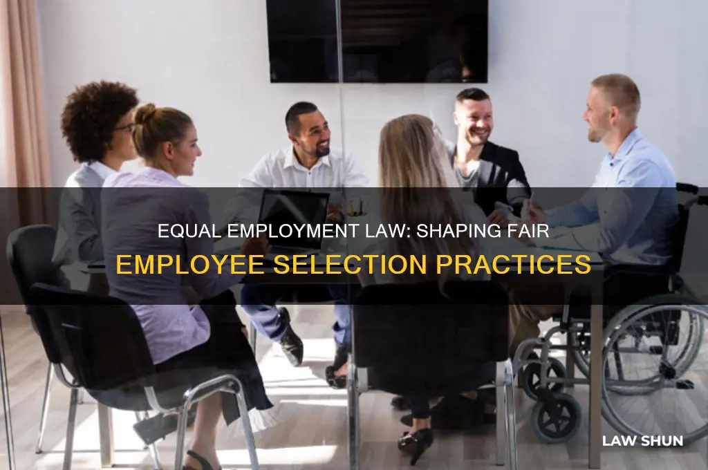 Equal Employment Law: Shaping Fair Employee Selection Practices | LawShun