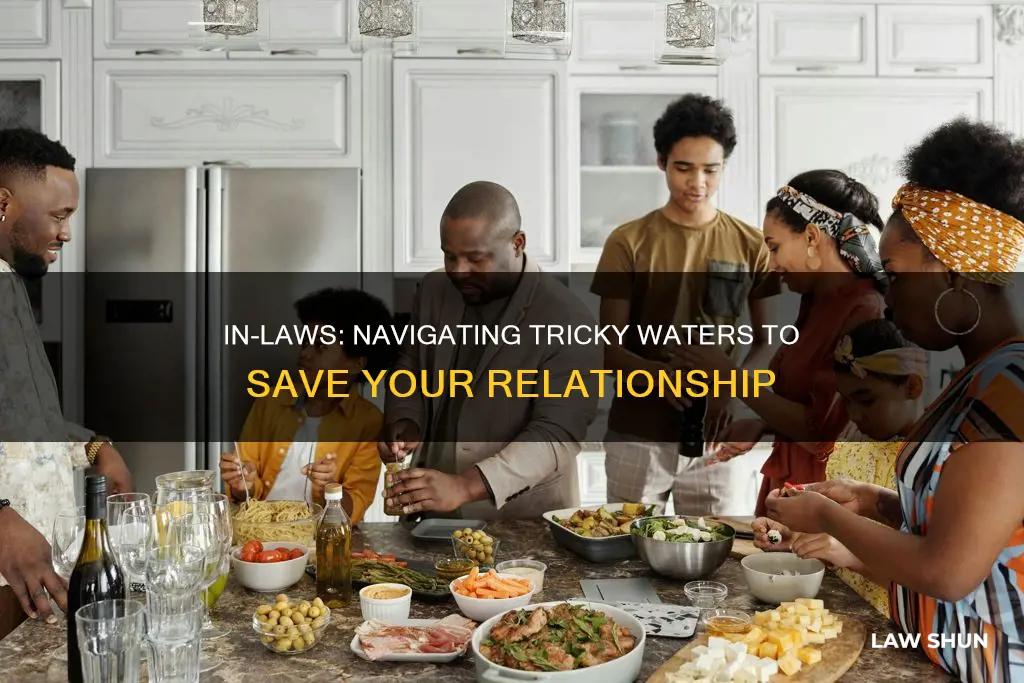 In-Laws: Navigating Tricky Waters To Save Your Relationship | LawShun