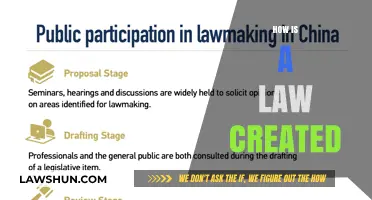 The Evolution Of Laws: Why They Exist | LawShun