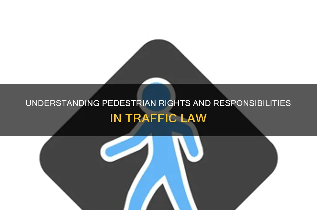 Understanding Pedestrian Rights And Responsibilities In Traffic Law ...