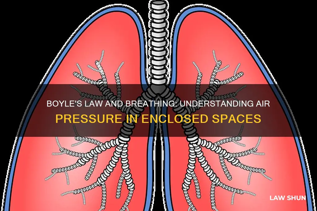 Boyle's Law And Breathing: Understanding Air Pressure In Enclosed ...